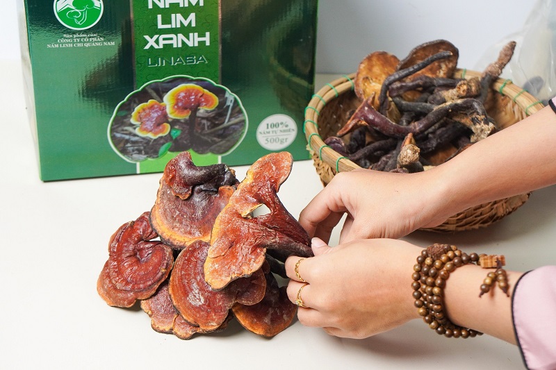 Nấm Lim Xanh Quảng Nam - Nguyentrancoop.vn